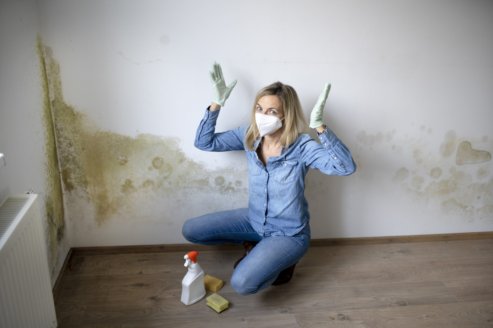 The Role of Leak Detection in Preventing Mold and Mildew Growth - Leak ...